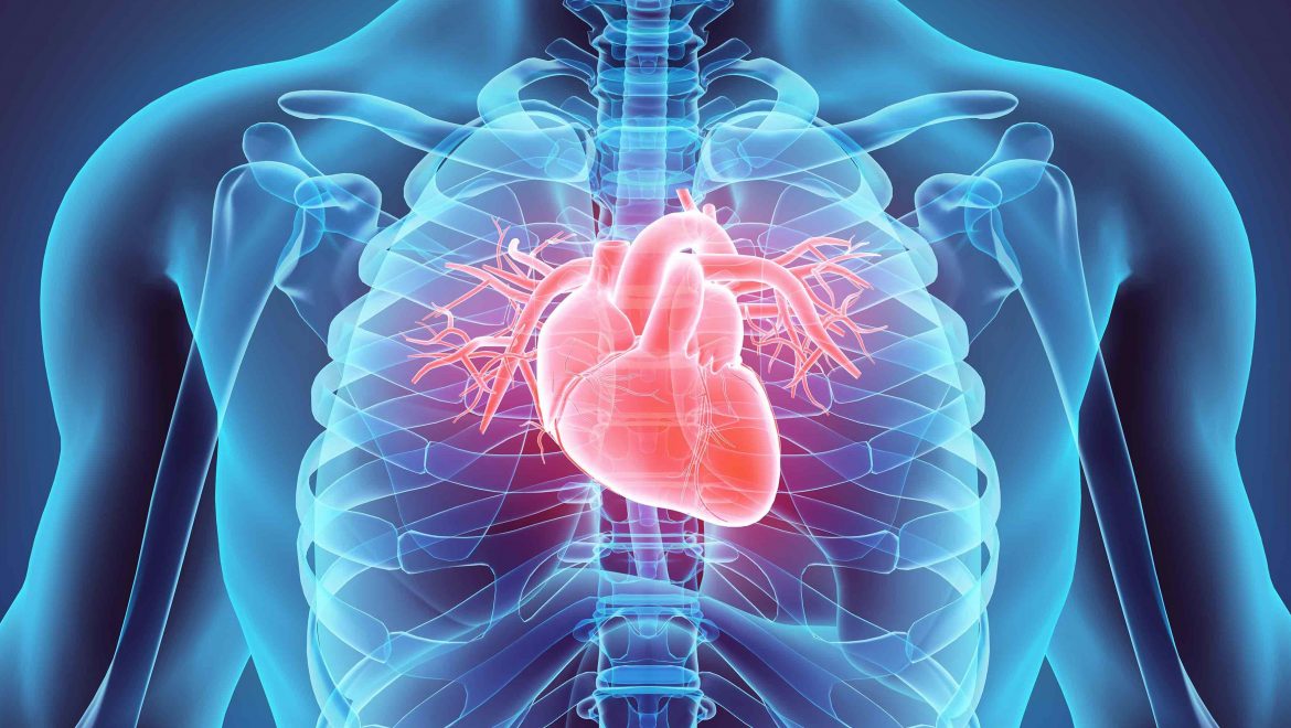 CardioInsight: A new way to diagnose Heart Arrhythmia – About Thailand ...